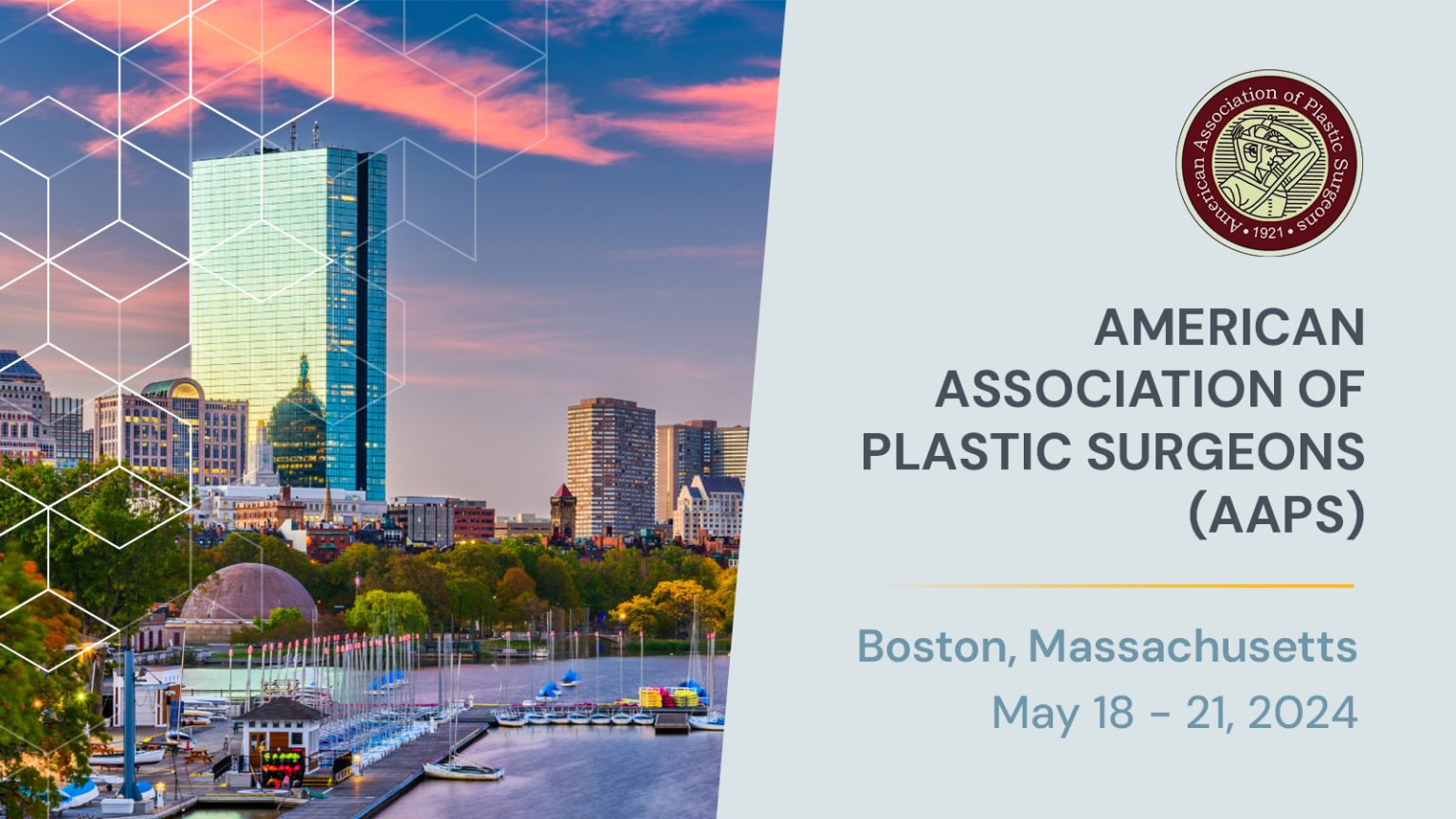 MMI Inc | Medical Microinstruments